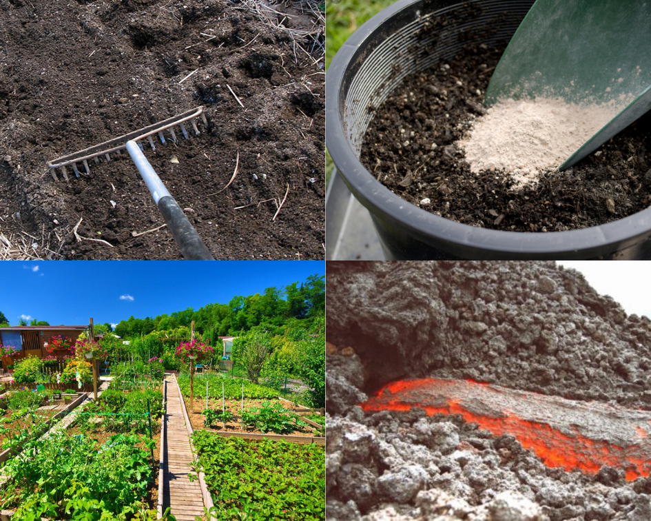 Using lava flour in the vegetable garden - part of the vegetable garden ...