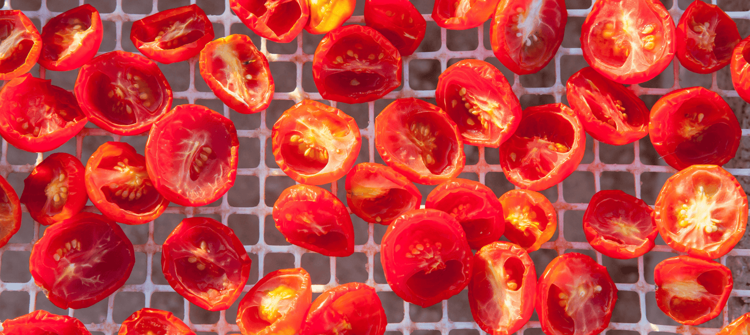 Zongedroogde tomaatjes maken : makkelijk recept | Plukkers.com