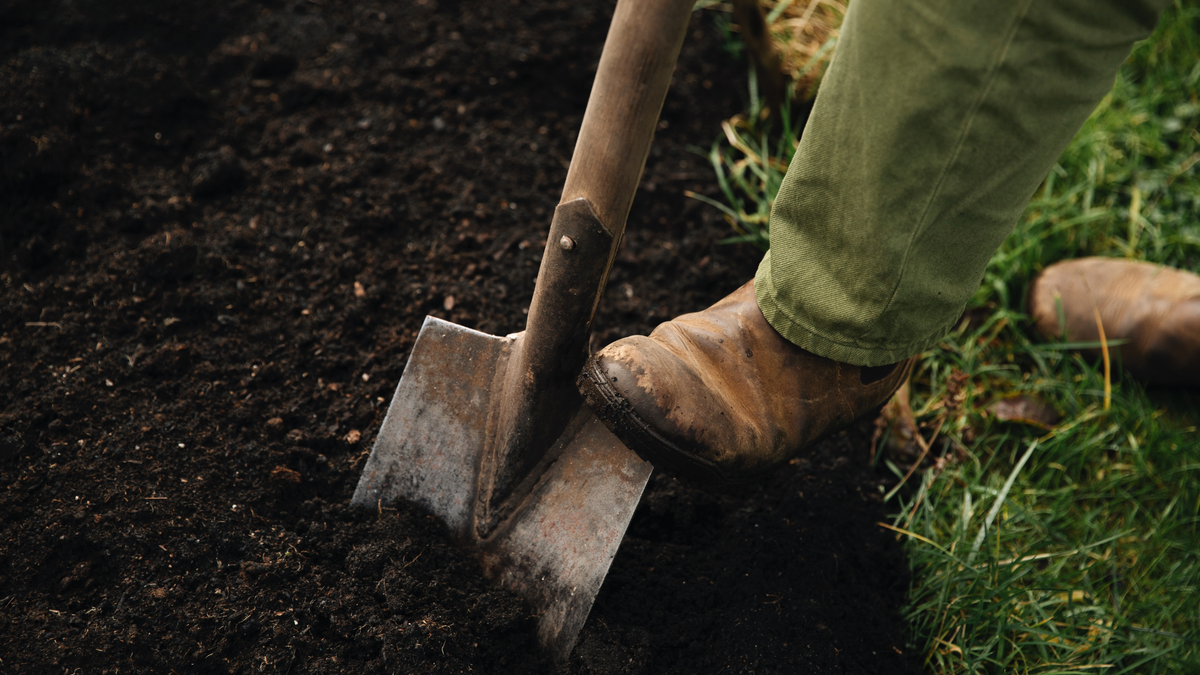 Shovel and spades – Plukkers.com