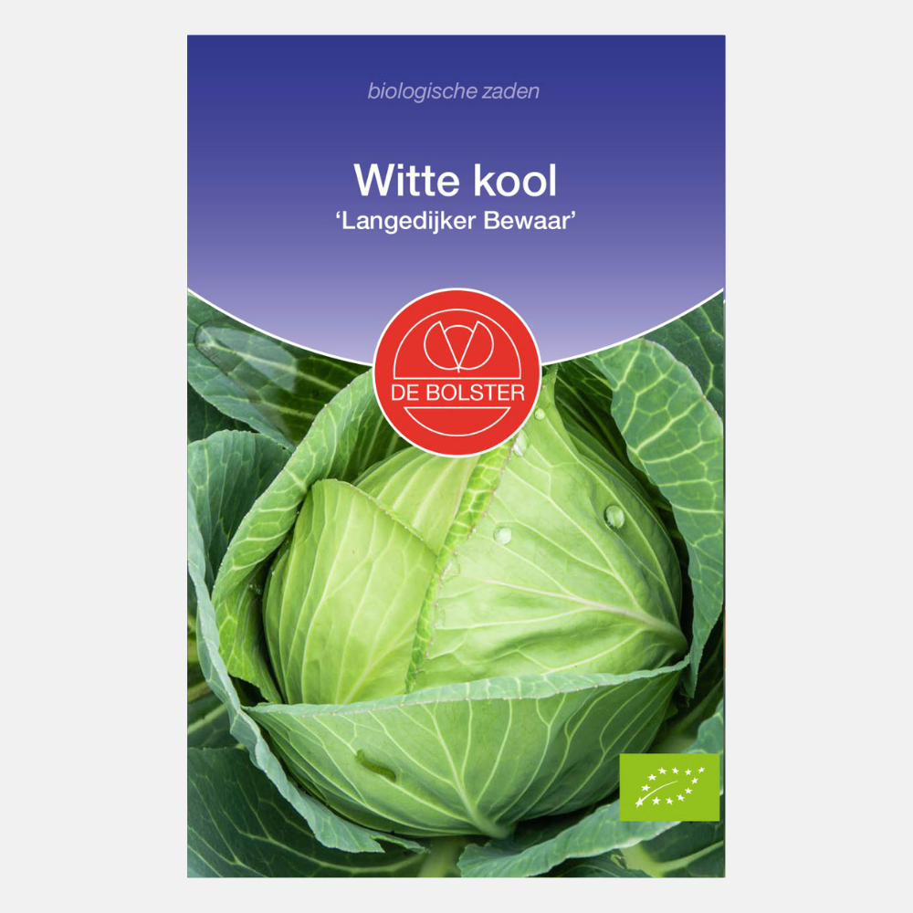 Witte kool 'Langedijker Bewaar' BIO – Plukkers.com