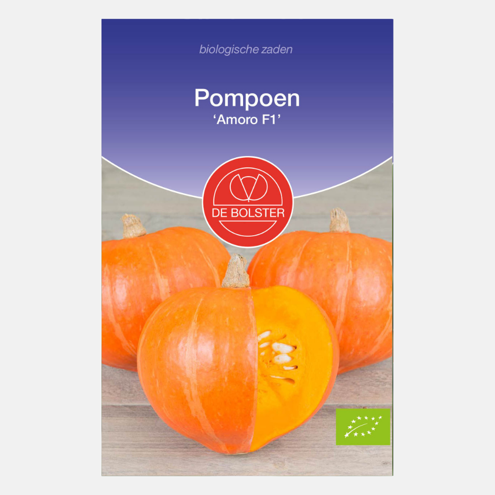 Pompoen 'Amoro F1' BIO – Plukkers.com