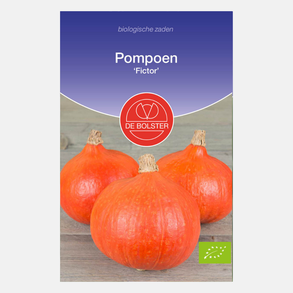 Pompoen 'Fictor' BIO – PLUKKERS