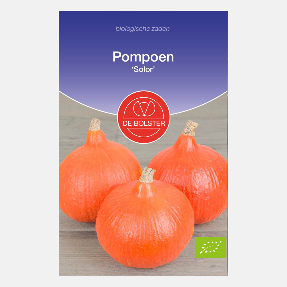 Pompoen 'Solor' BIO – PLUKKERS
