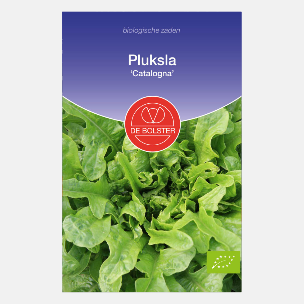 Lettuce 'Catalogna' BIO – PLUKKERS