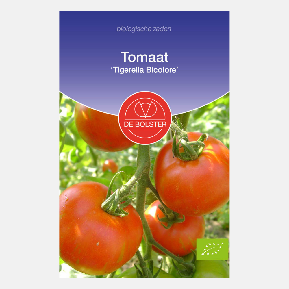 Tomaat 'Tigerella Bicolore' BIO – Plukkers.com