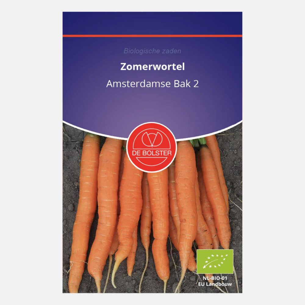 Zomerwortel 'Amsterdamse Bak 2' BIO – PLUKKERS