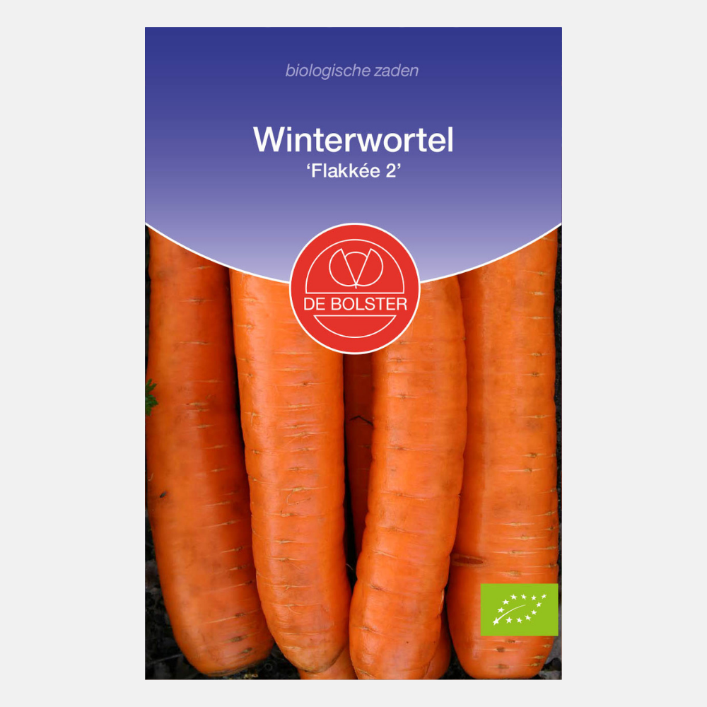 Winterwortel 'Flakkée 2' BIO – PLUKKERS