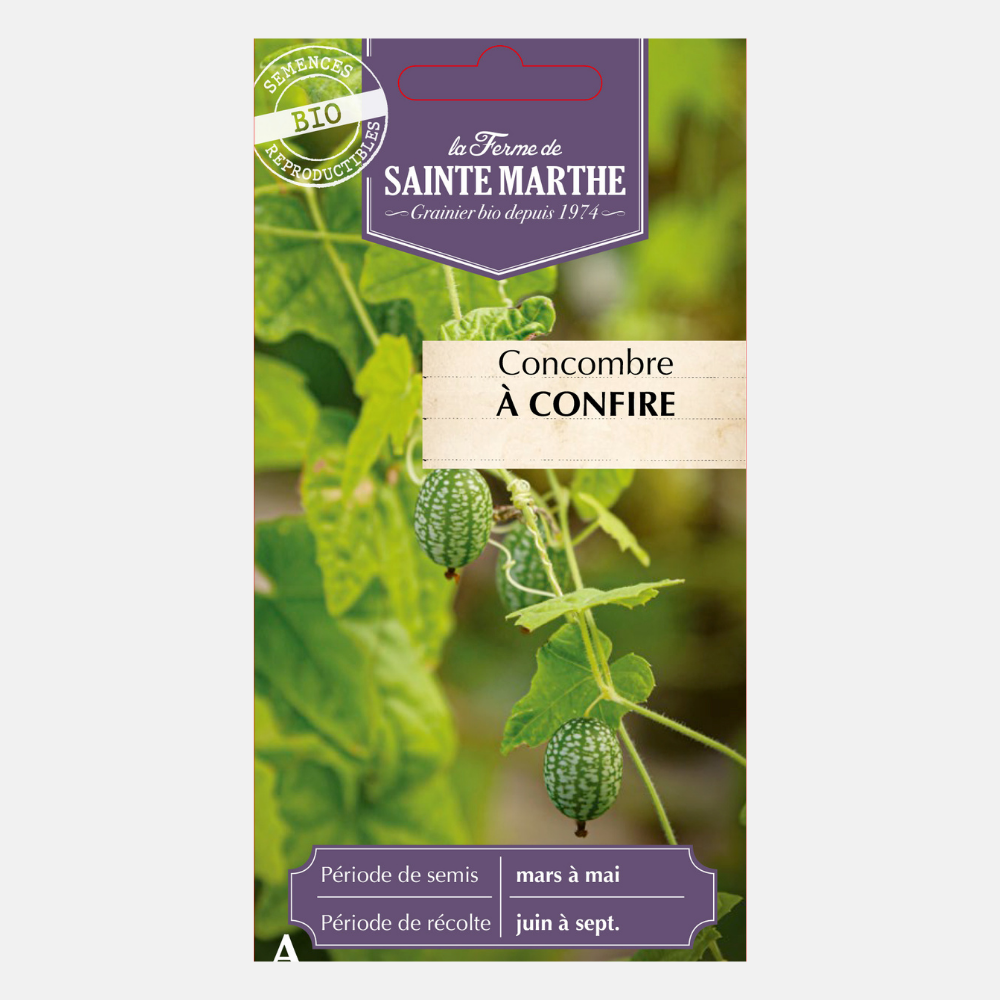 Mexican cucumber - Cucamelon - Mouse melon BIO – PLUKKERS