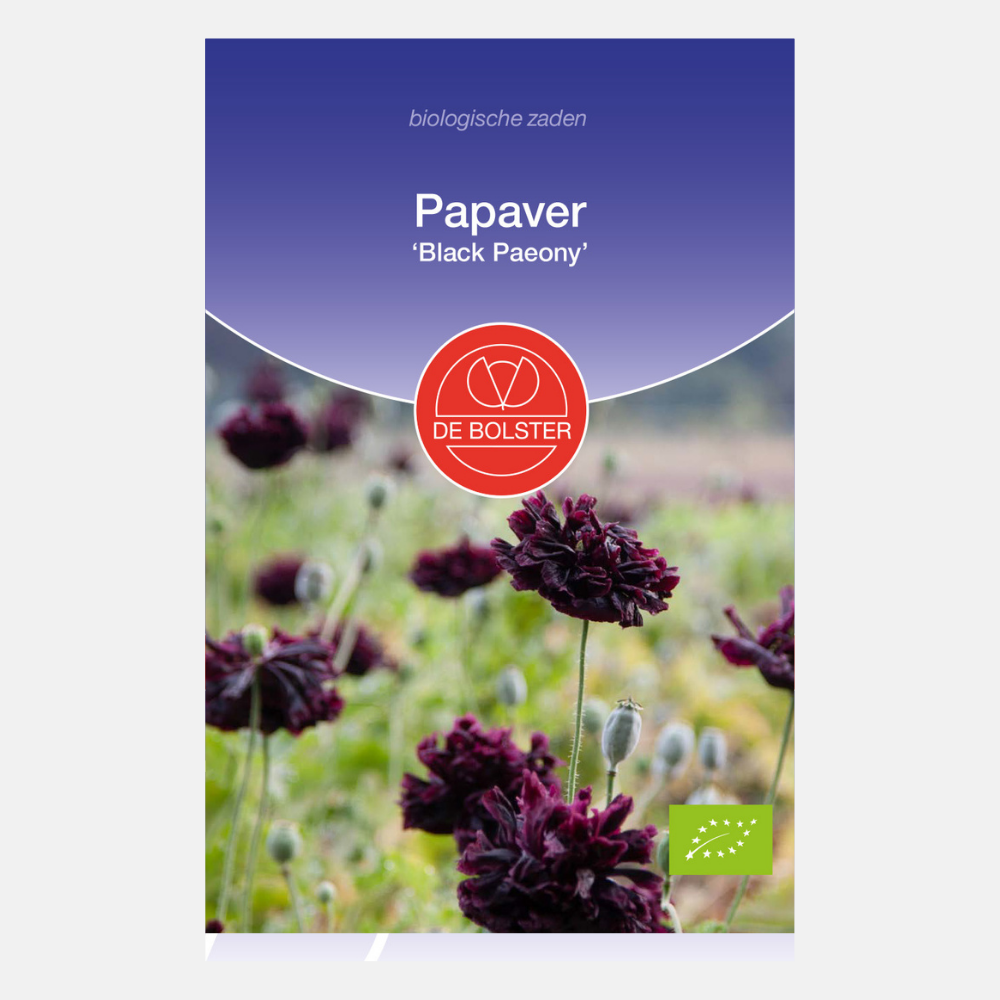 Papaver 'Black Paeony' BIO – PLUKKERS