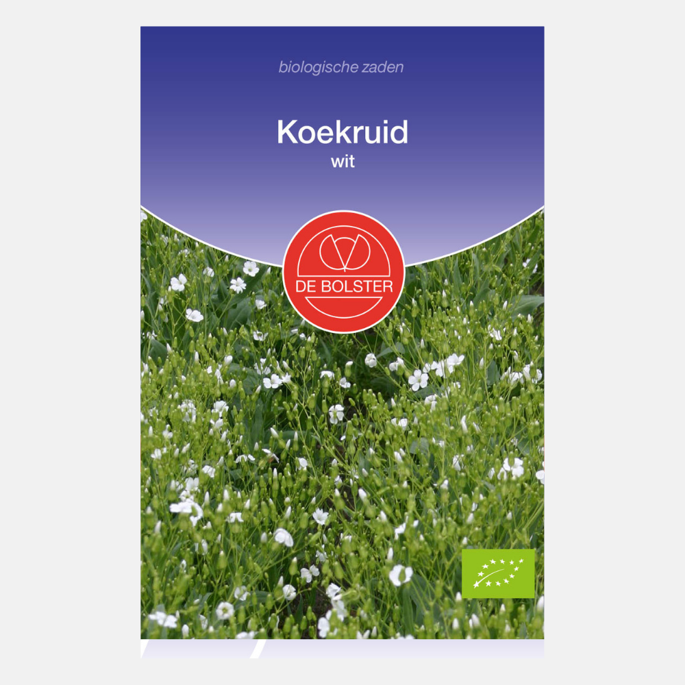 Koekruid, wit BIO – PLUKKERS