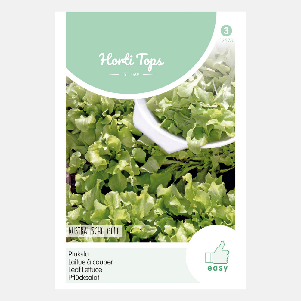 Lettuce 'Australian Yellow' – PLUKKERS