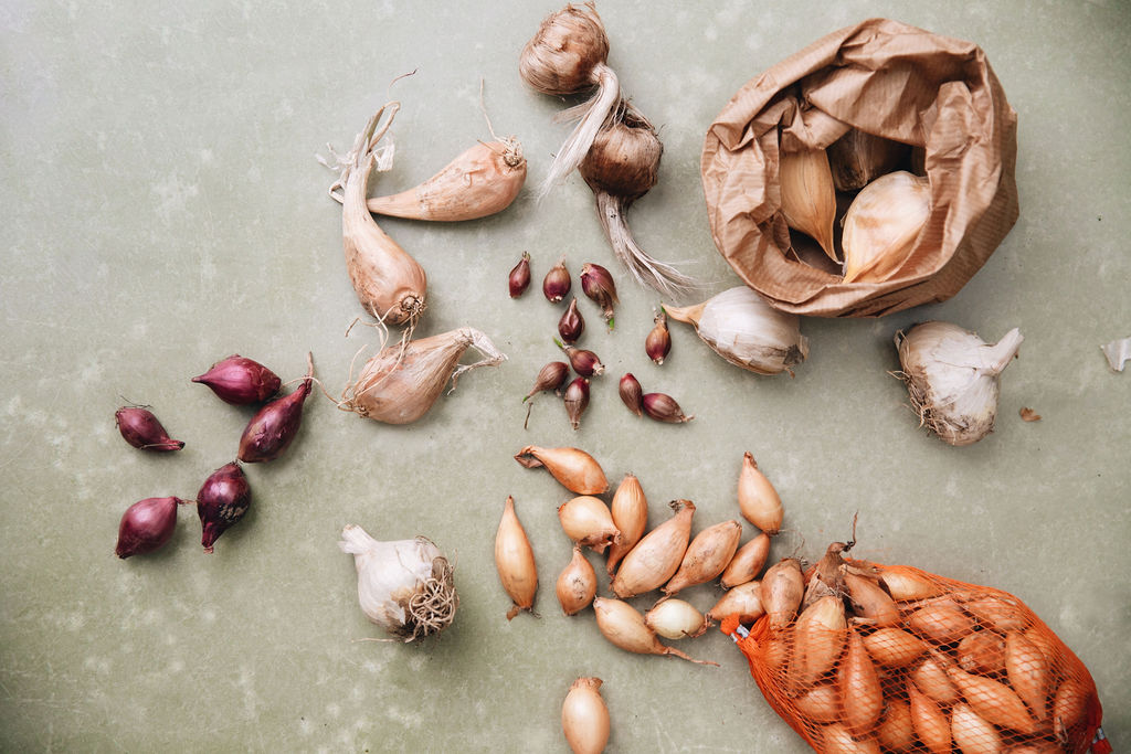 Moestuin – Plukkers.com