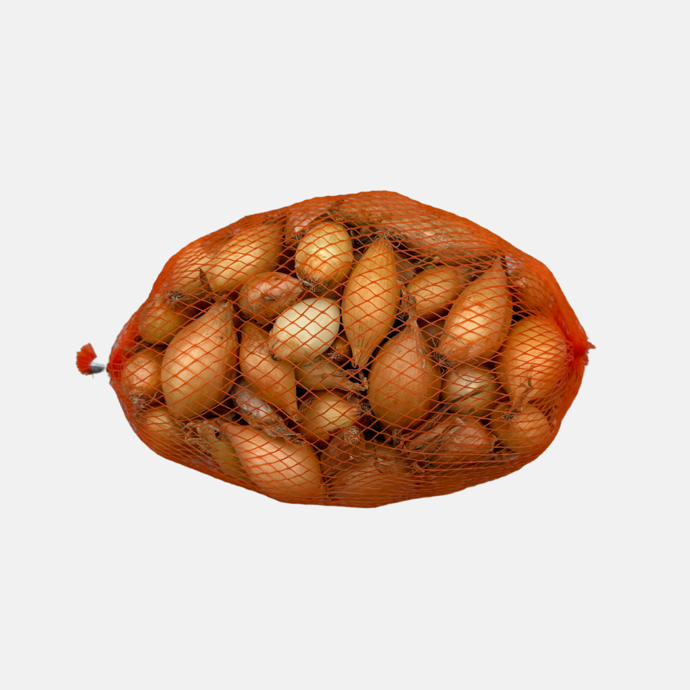 Plant onion 'Radar' BIO - 250 grams – Plukkers.com