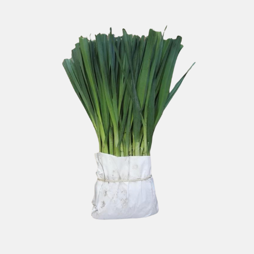 Summer leek plants 25 pieces BIO – PLUKKERS