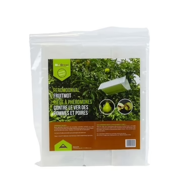 Feromoonval Fruitmot | Fruitmotval (Cydia pomonella) – Plukkers.com